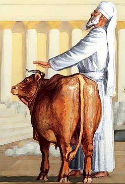 Heb 10:3-4 But those sacrifices are an annual reminder of sins, 4 ...